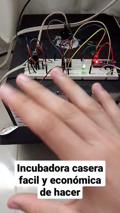 Incubadora casera con Arduino #colombia #agropecuaria - YouTube