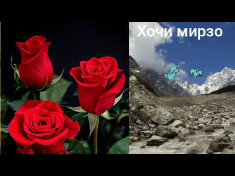 Хочи мирзо кисаи бехтарин