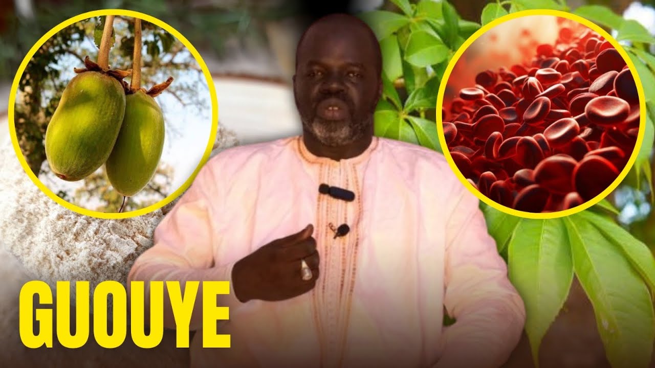 🌴 Ndiarignou Garabou Guouy : Vertus du Baobab - Pr Ousmane Ndiaye ...