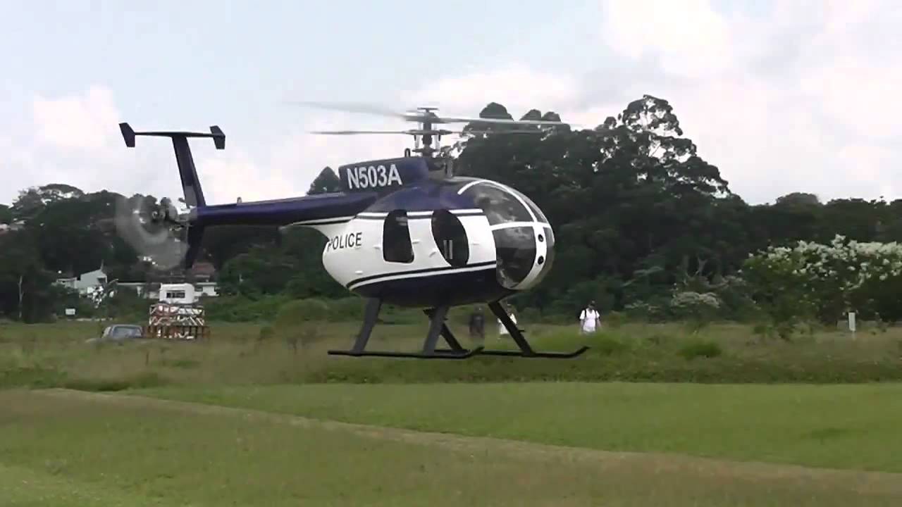 TRex 500 Heliartist MD 500 - YouTube