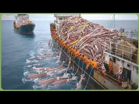 The World’s Biggest Catch - How Fishermen Haul 98 Million Tons of ...