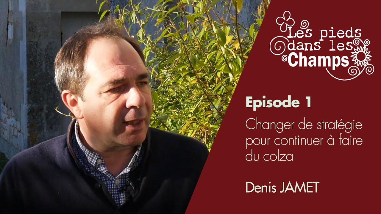 Changer de stratégie pour continuer à faire du colza | Les pieds dans ...
