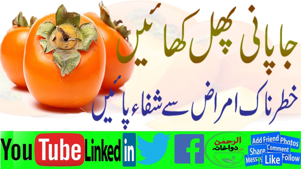 Japani Phal Amlok Ke Fayde Health Benefits Of Persimmon In Urdu japani-phal-amlok-ke-fayde-health-benefits-of-persimmon-in-urdu