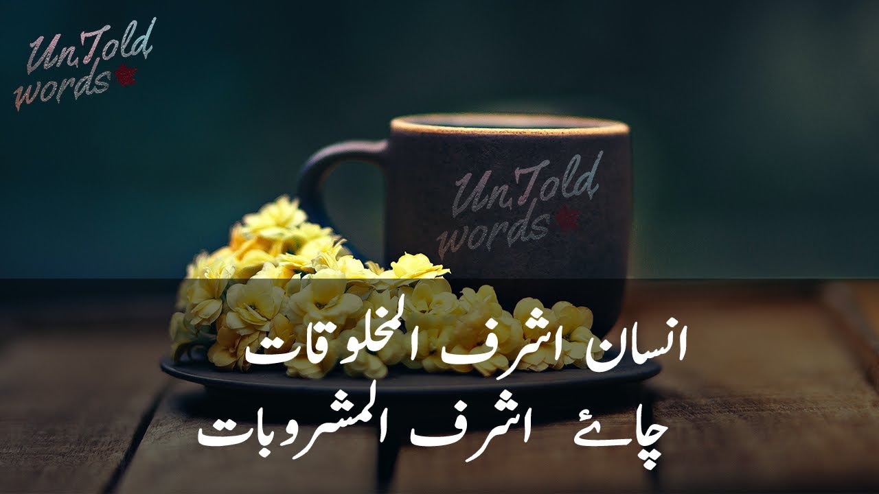 Chai Poetry WhatsApp Status | Chai Poetry in Urdu | Chai Poetry | Chai ...