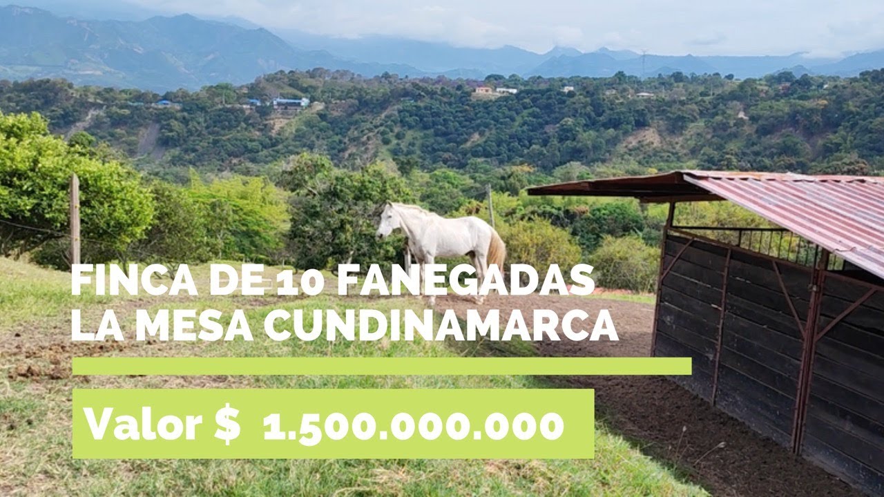 HERMOSA FINCA DE 10 FANEGADAS CON PESEBRERAS EN SECTOR DE ALTA ...