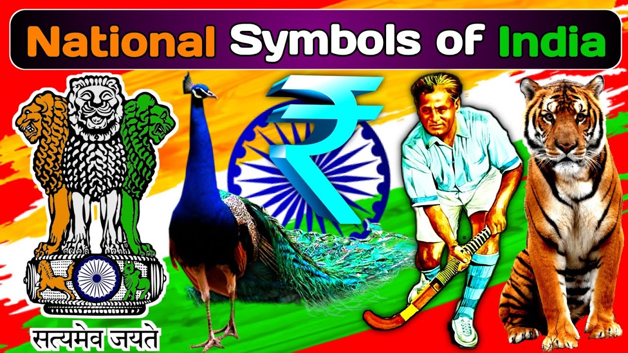 National Symbols of India || National Flag, Fruit, Flower, Bird, Animal ...
