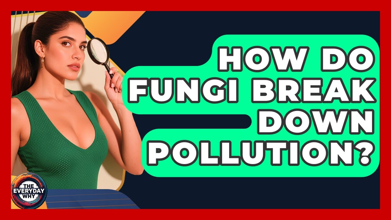 How Do Fungi Break Down Pollution? - The Everyday Why - YouTube