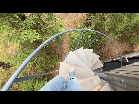 Стройка Dzen Forest. ИЮЛЬ - YouTube