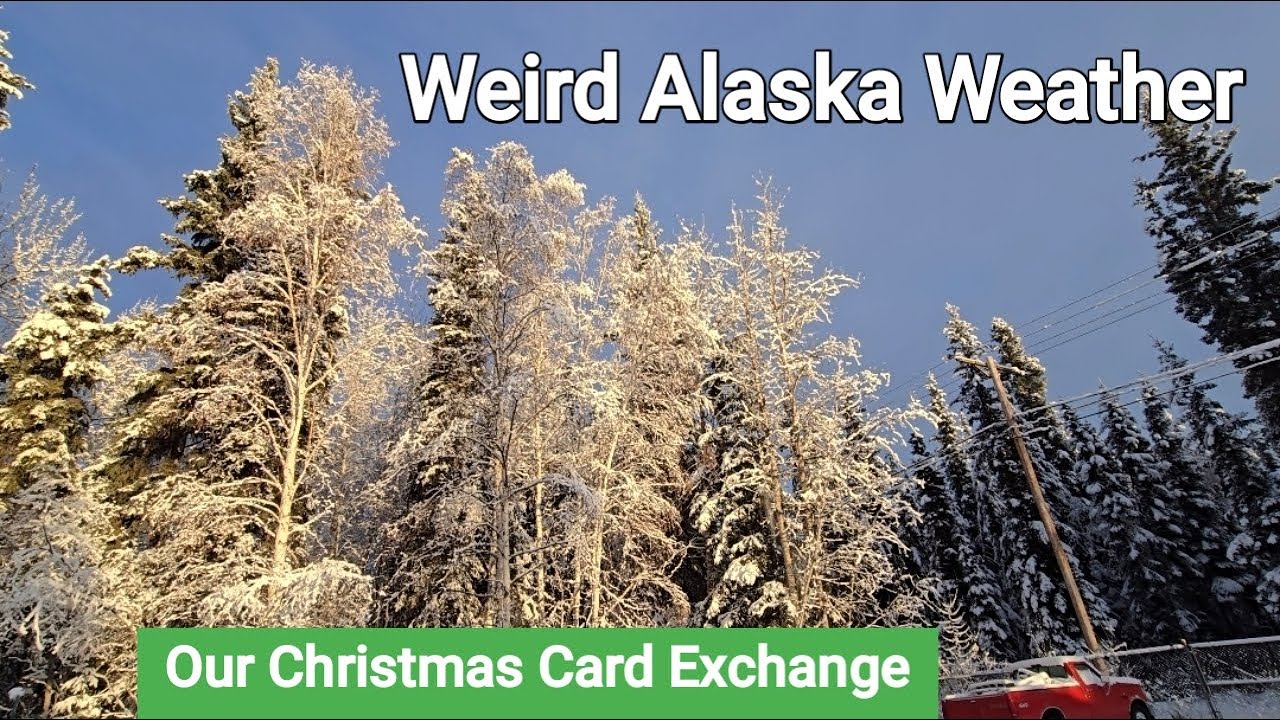 Weird Alaska Weather and a Christmas Card Exchange | Alaskan Bears ...