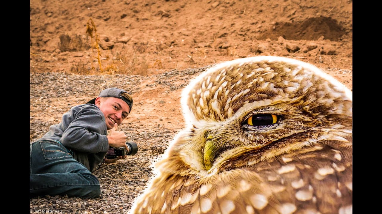 CATCHING OWLS!!? - YouTube