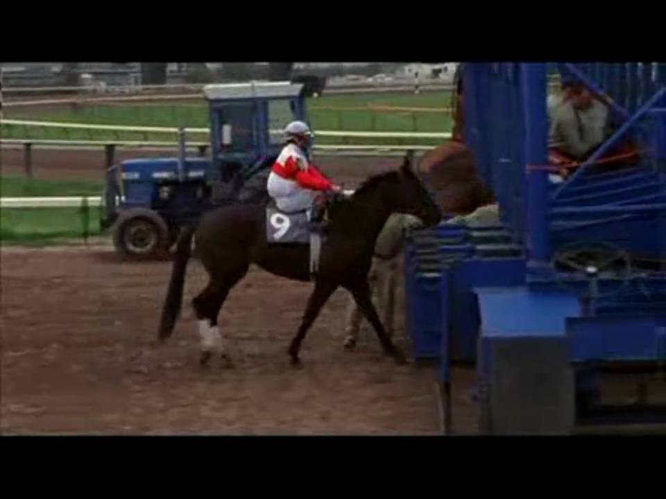 ♦The Animal Inside of Ruffian♦ A Tribute to the Filly - YouTube