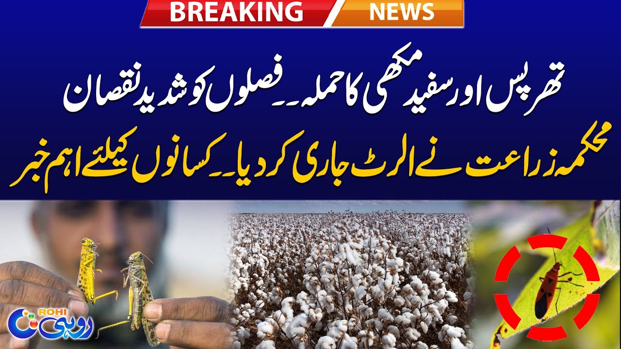 Bad News For Farmers - Agriculture Department Issue Alert - Cotton ...