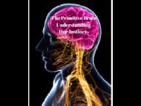 The Primitive Brain - "Understanding Our Instincts" - YouTube