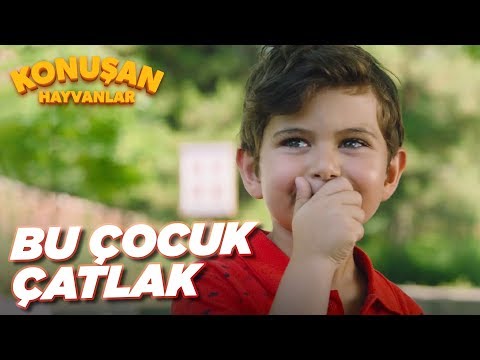 Bu Çocuk Çatlak - Konuşan Hayvanlar