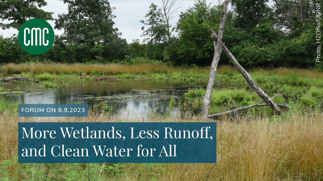 More Wetlands, Less Runoff, and Clean Water for All - YouTube