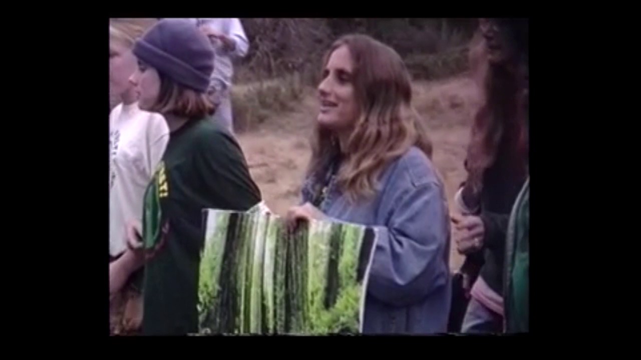 Headwaters Redwood Forest Rally/Protest 1995 - YouTube