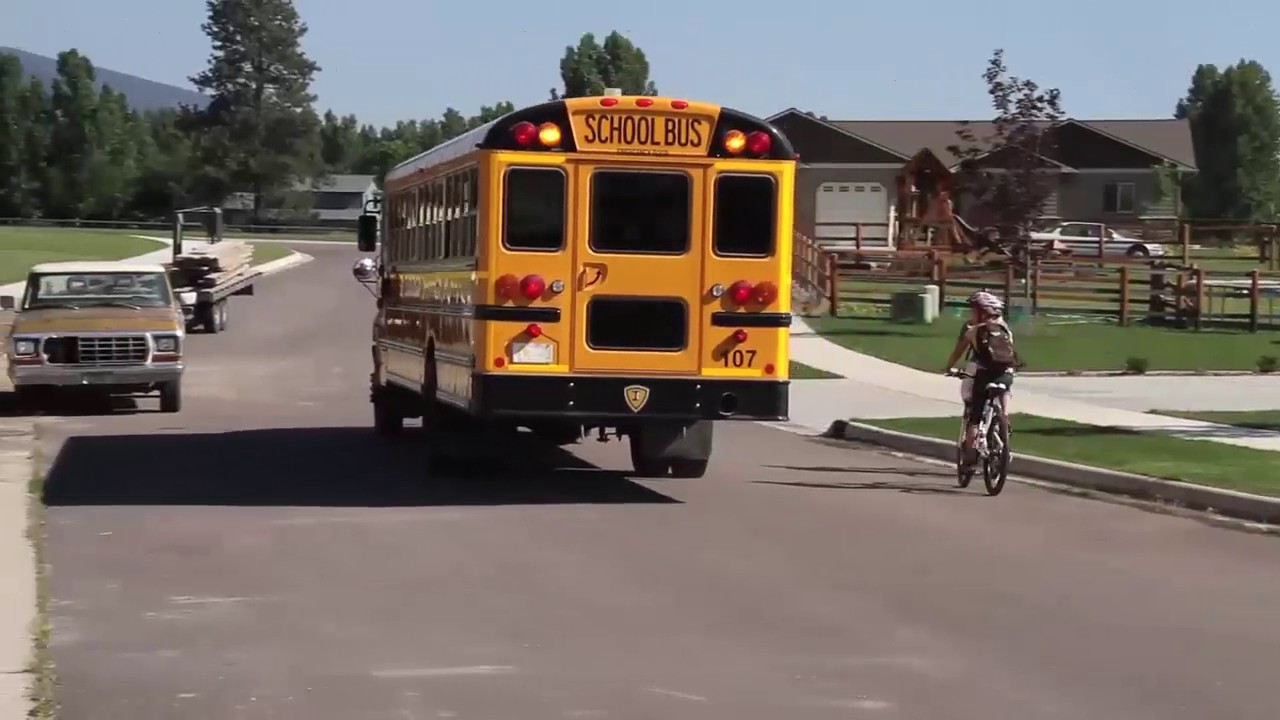 5-bicycles-and-buses-review-youtube
