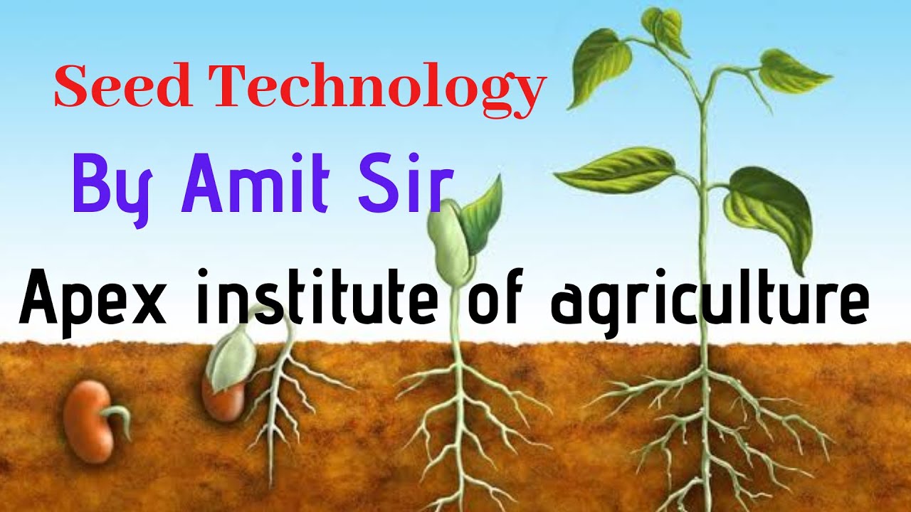Basic Concept of Seed Science for IBPS - SO (AFO) || BY Amit Sir ...