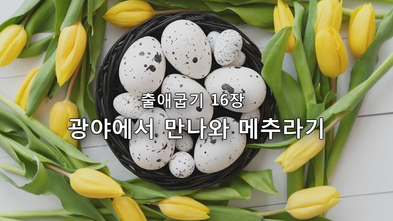 출애굽기16장 광야에서 만나와 메추라기 Youtube
