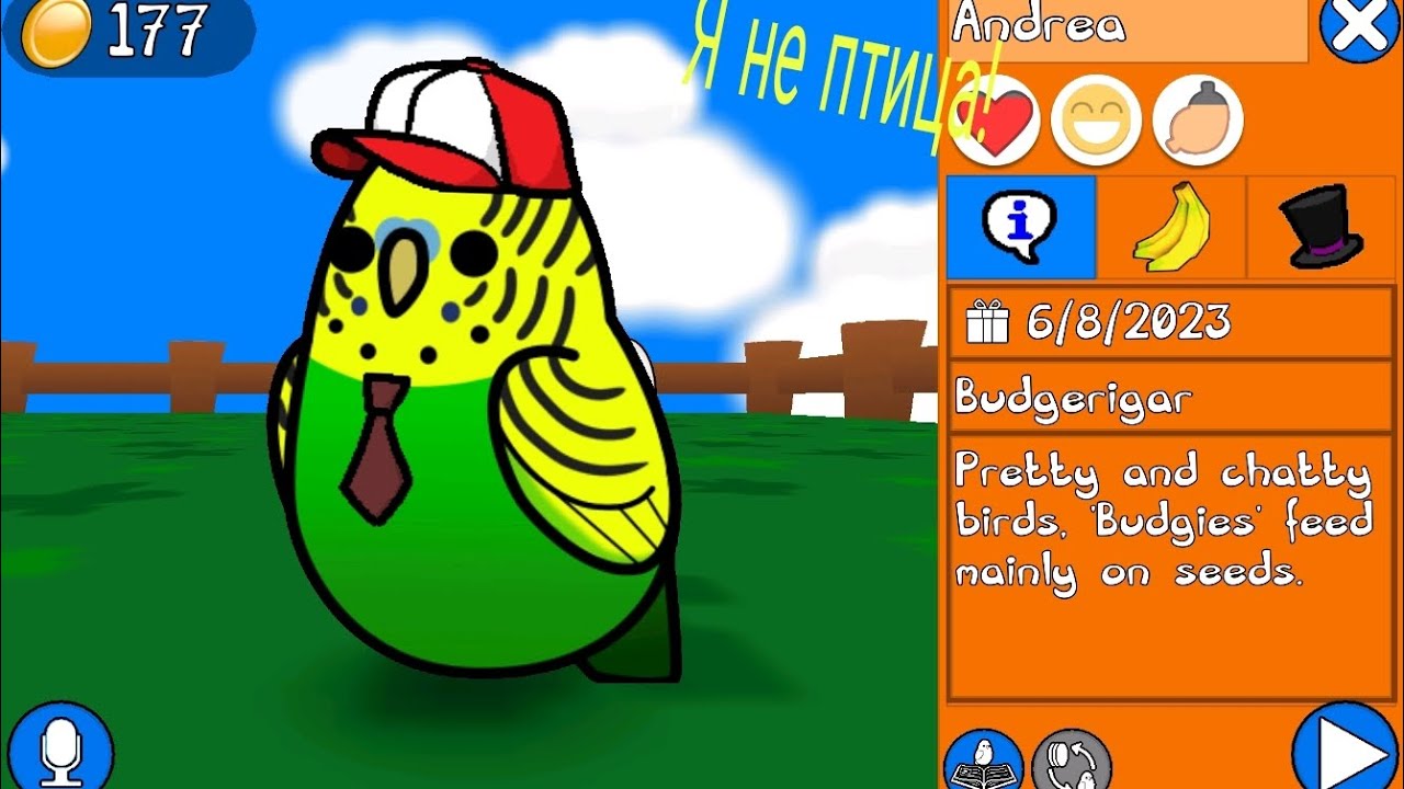 Too many birds.Симулятор собственной птицы! - YouTube