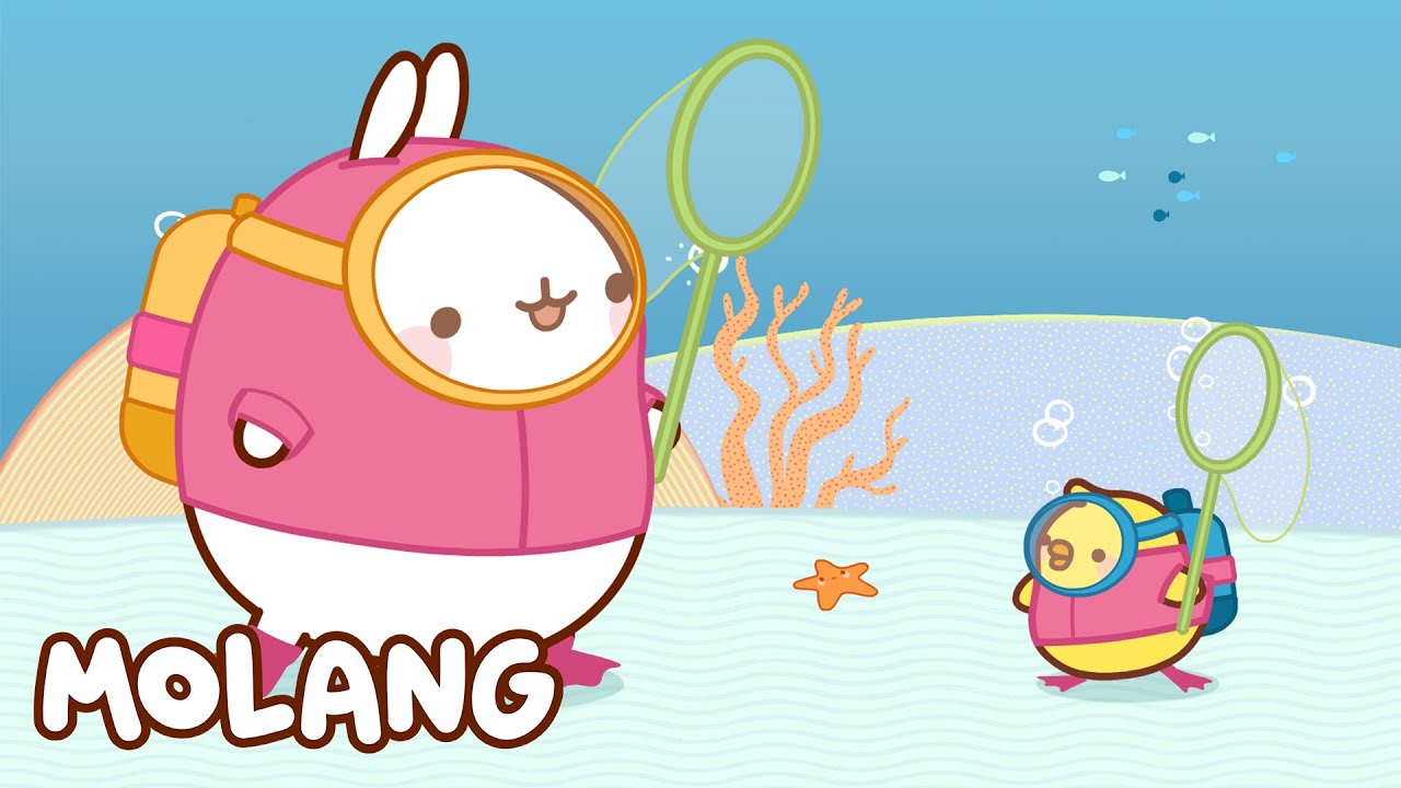 Going to the Seaside ☀️🐳 Molang | Cartoons for Kids - YouTube