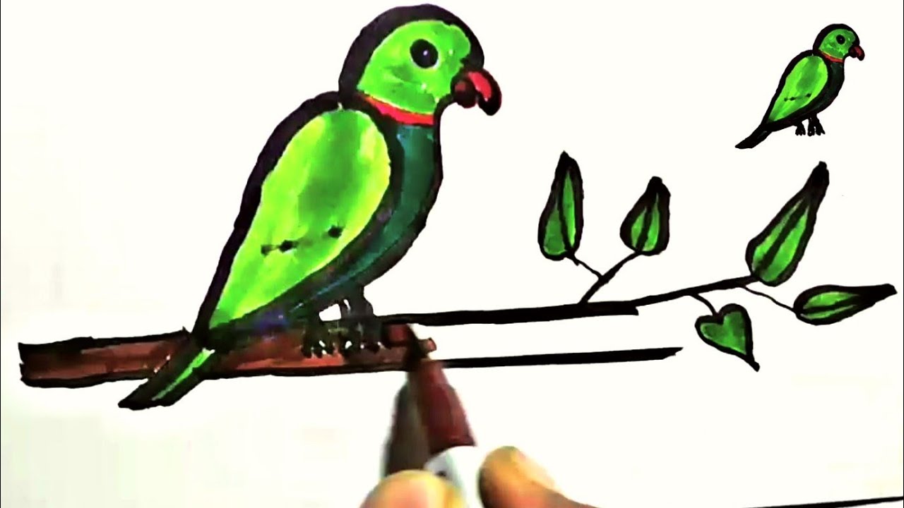 how to draw parrot or fly #parrot । drawing for kids । drawing for ...