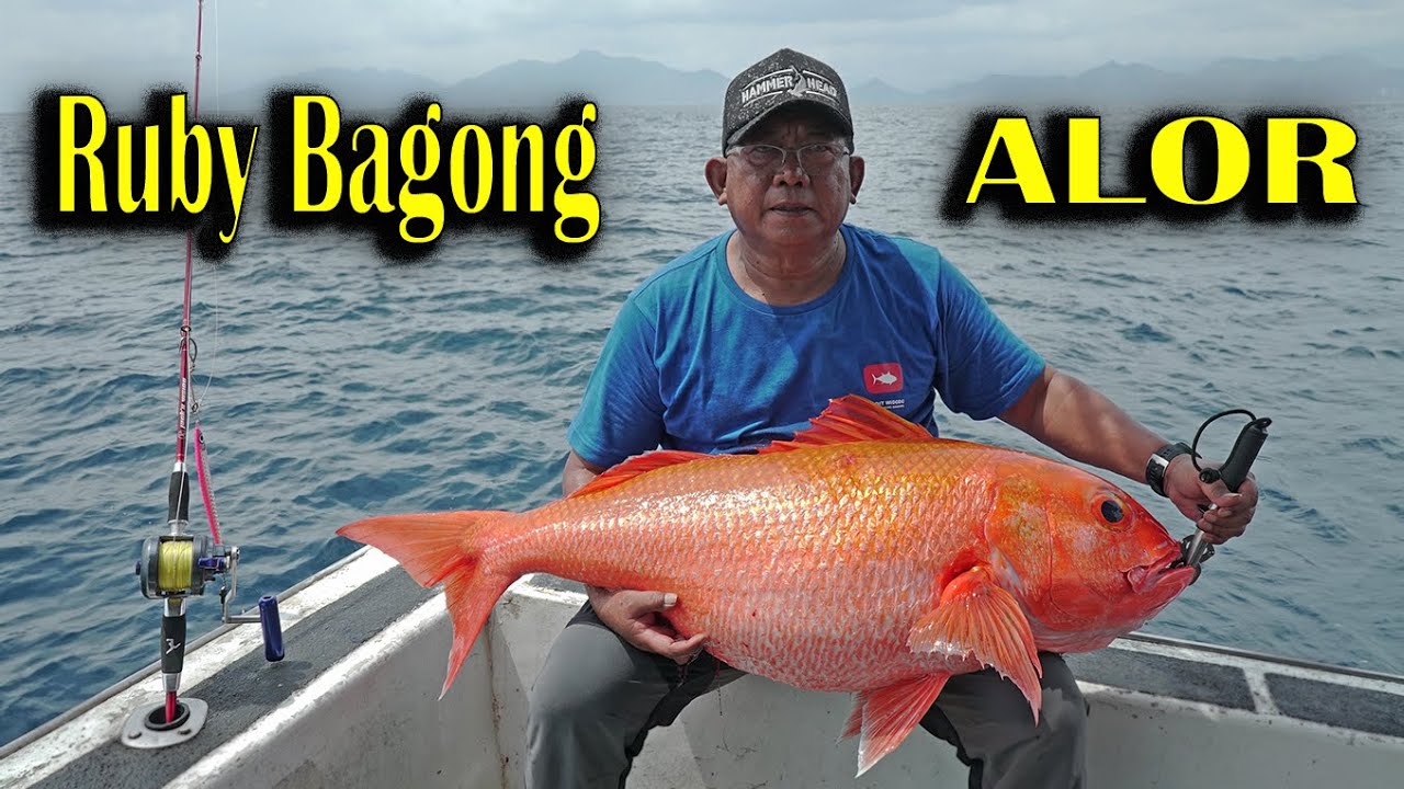 Ruby Bagong dari Alor! - YouTube