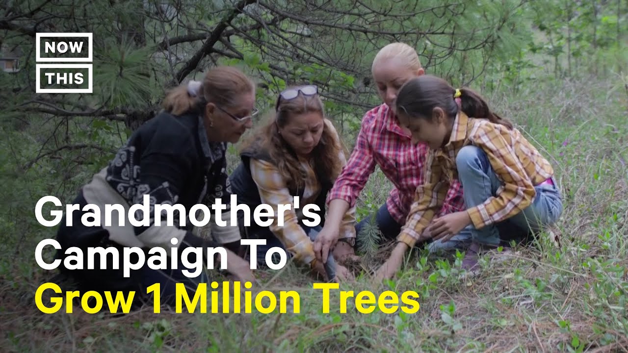 Grandmother on Mission to Plant 1M Trees in Mexico - YouTube