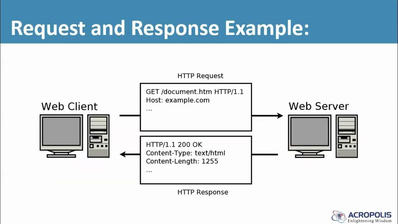 HTTP Protocols: Request and Response - YouTube