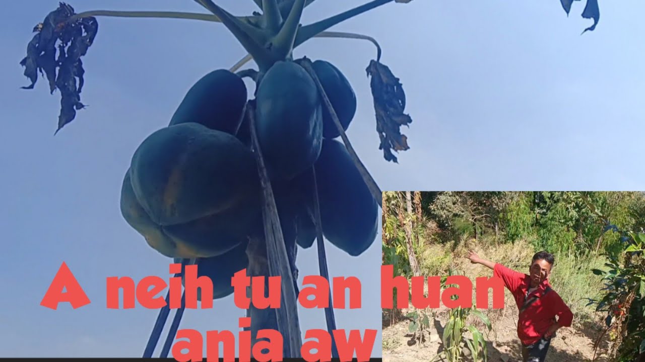 Fanghma rah dang dai, A neih tupa in ati tlat mai - YouTube