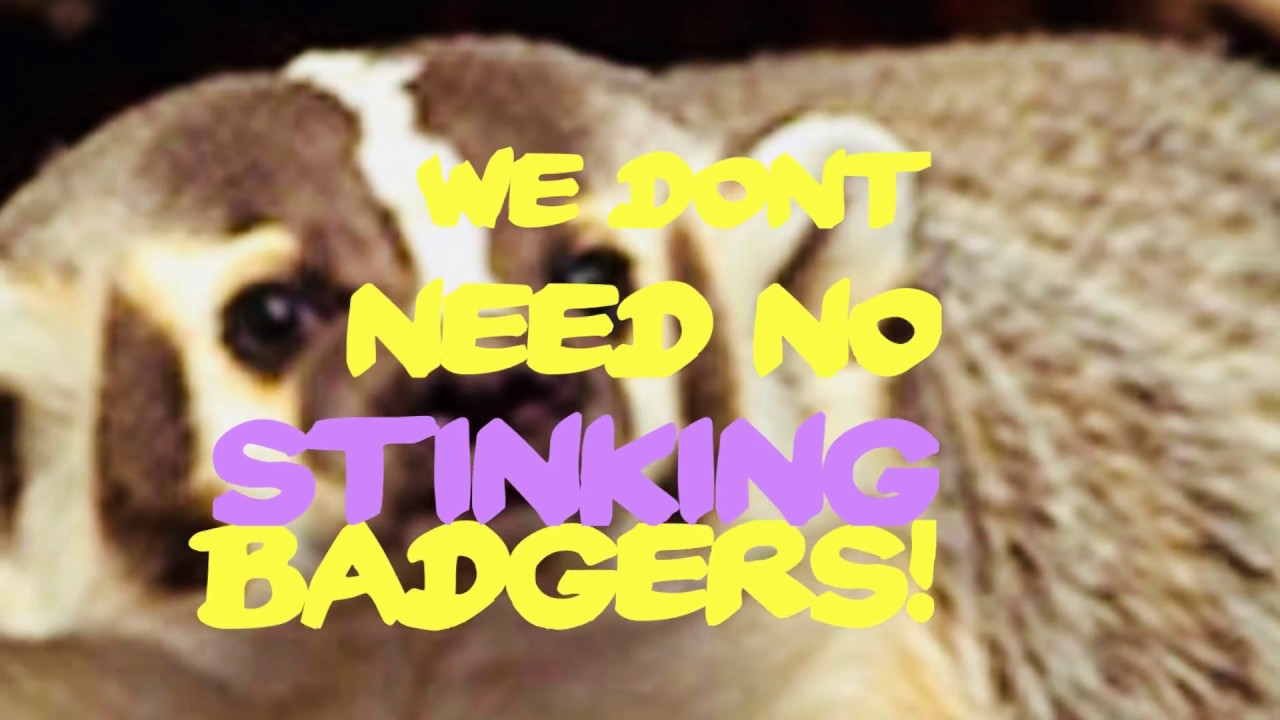 We Don’t Need No Stinking Badgers! Glowing eyes in the hole! - YouTube