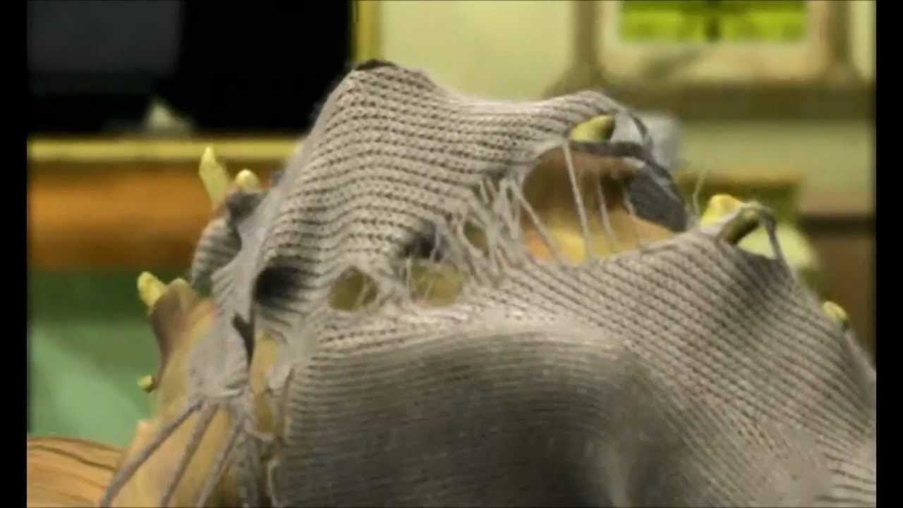 Parasite Eve Mutation Loop 8 Mins - YouTube