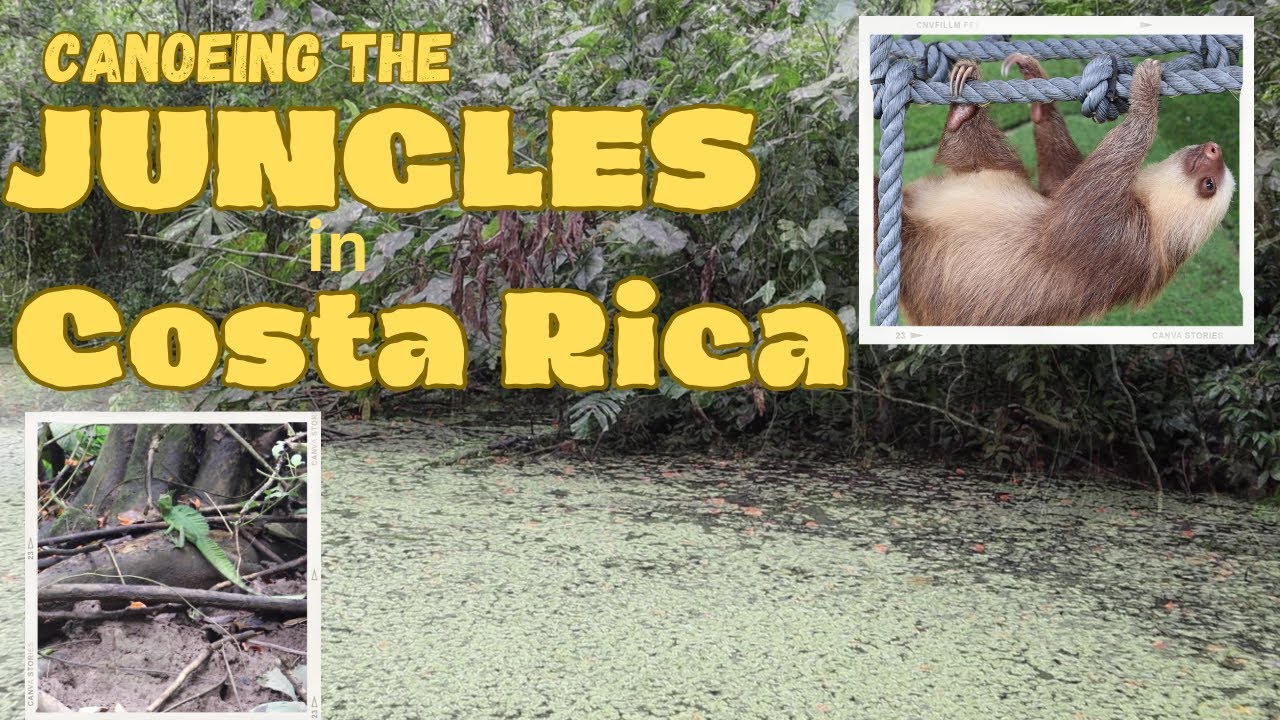A Jungle Canoe Cruise at the Sloth Sanctuary of Costa Rica - YouTube