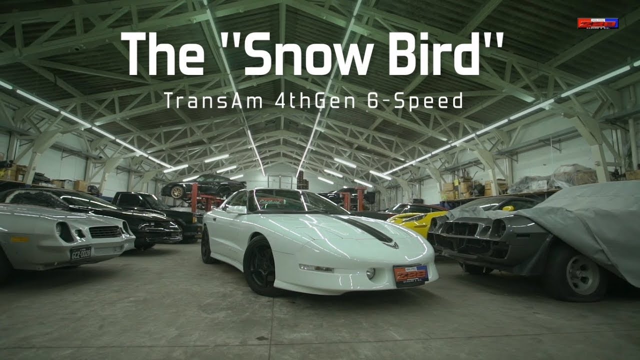 Projeto #164: Pontiac Firebird TransAm '94 - The "SnowBird". - YouTube