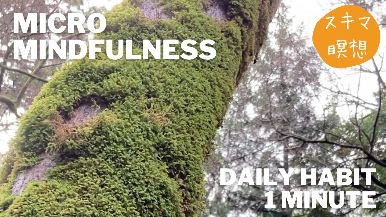 Micro Mediation |1 Minute |Breathing Practice |Mindfulness| anytime ...