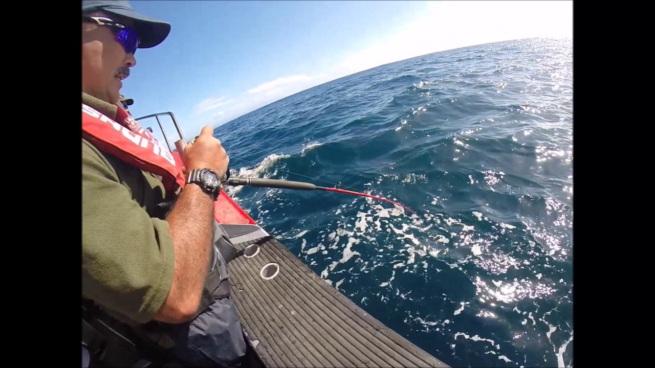 Meals on reels - YouTube