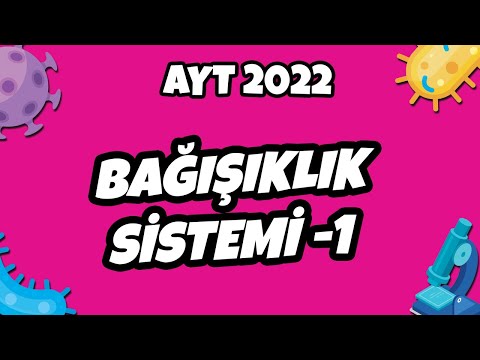 Bağışıklık Sistemi -1 | AYT Biyoloji 2022 #hedefekoş