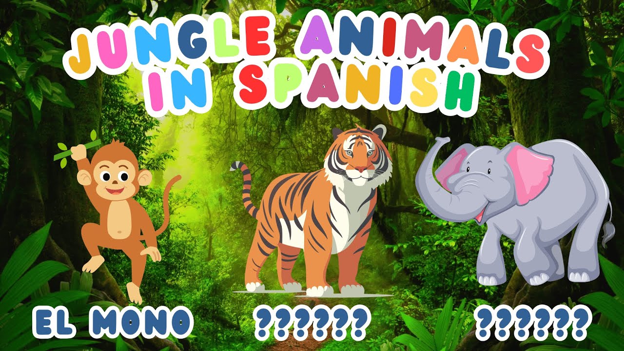 Spanish song for Kids: The Wild animals in Spanish - YouTube