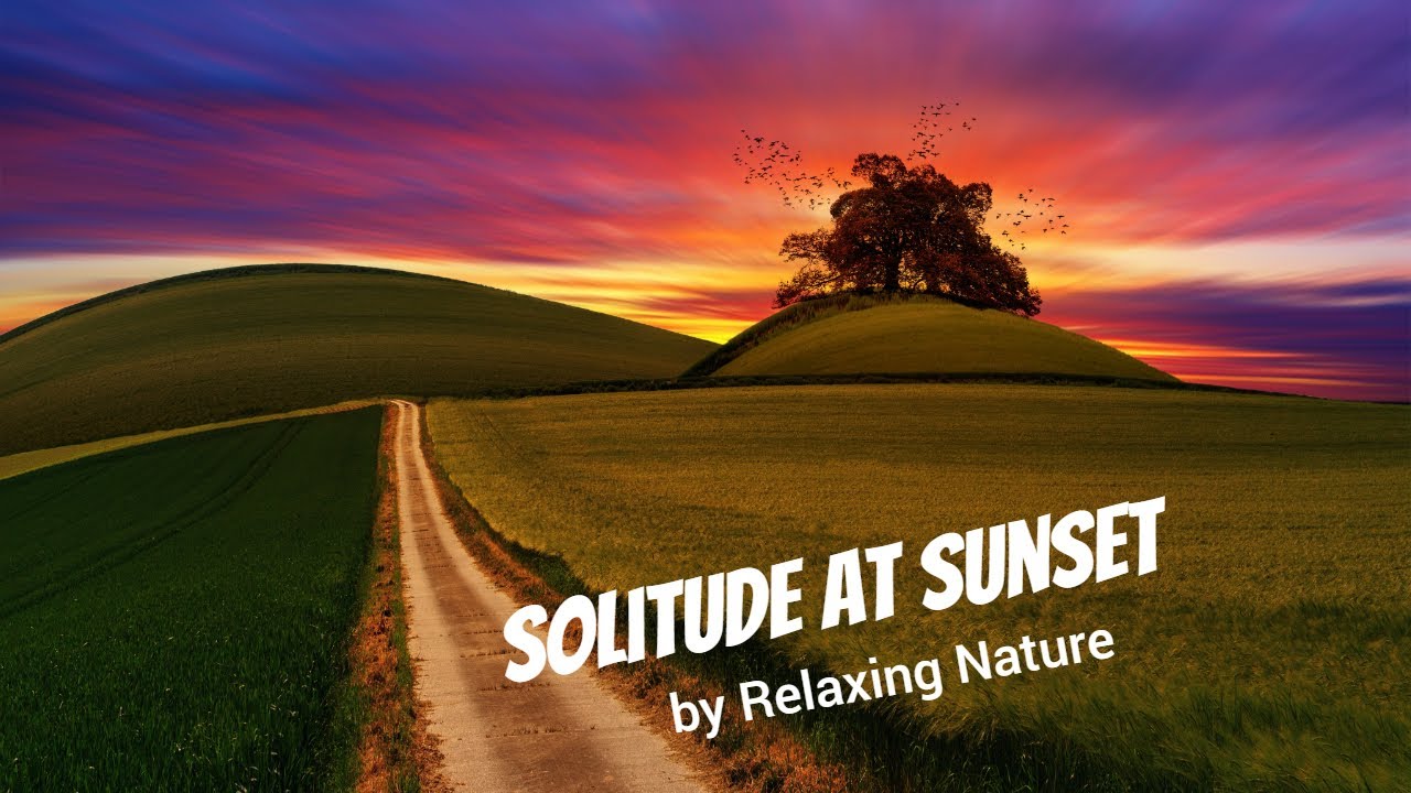 Solitude at Sunset - Beautiful, Relaxing Nature Music for Study, Work ...