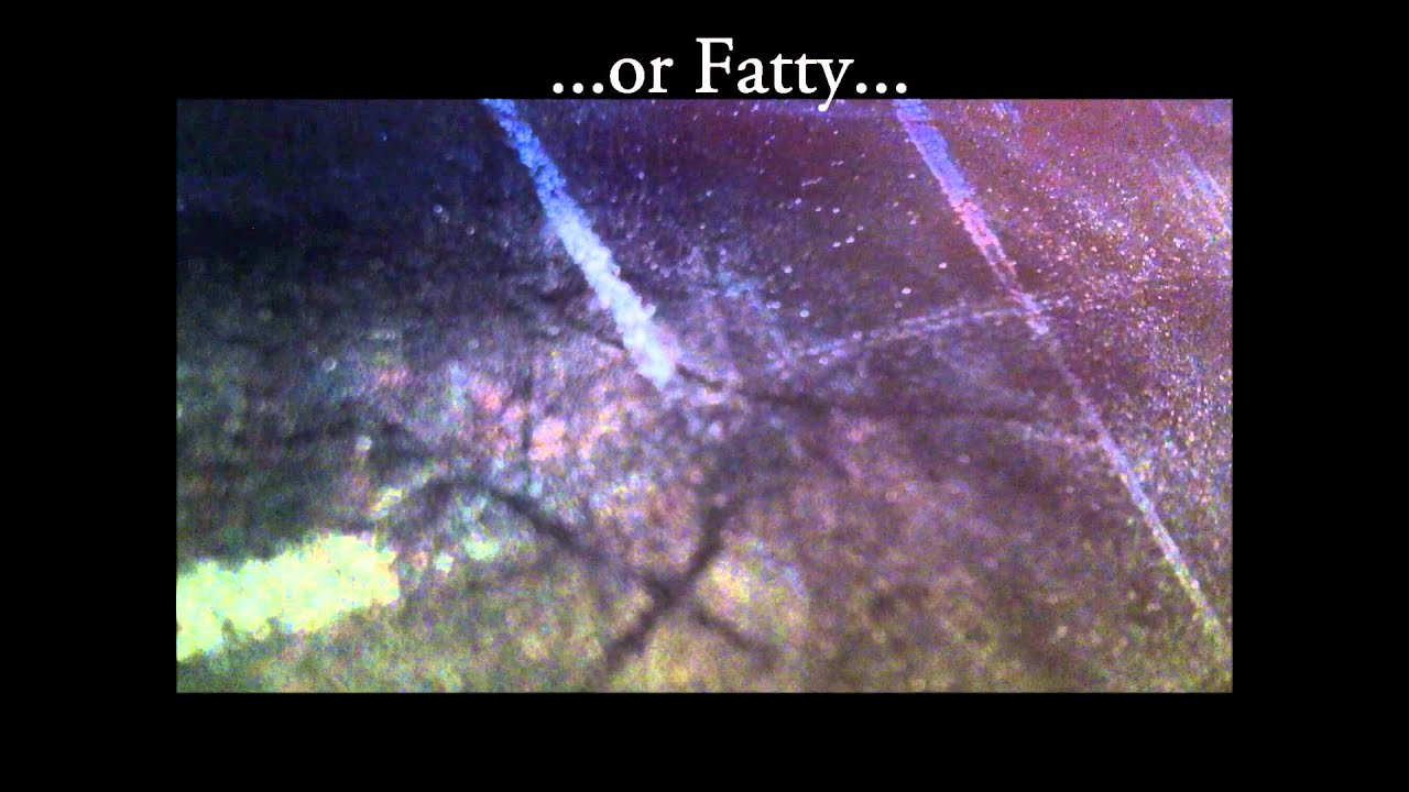 Courage by Anne Sexton - YouTube