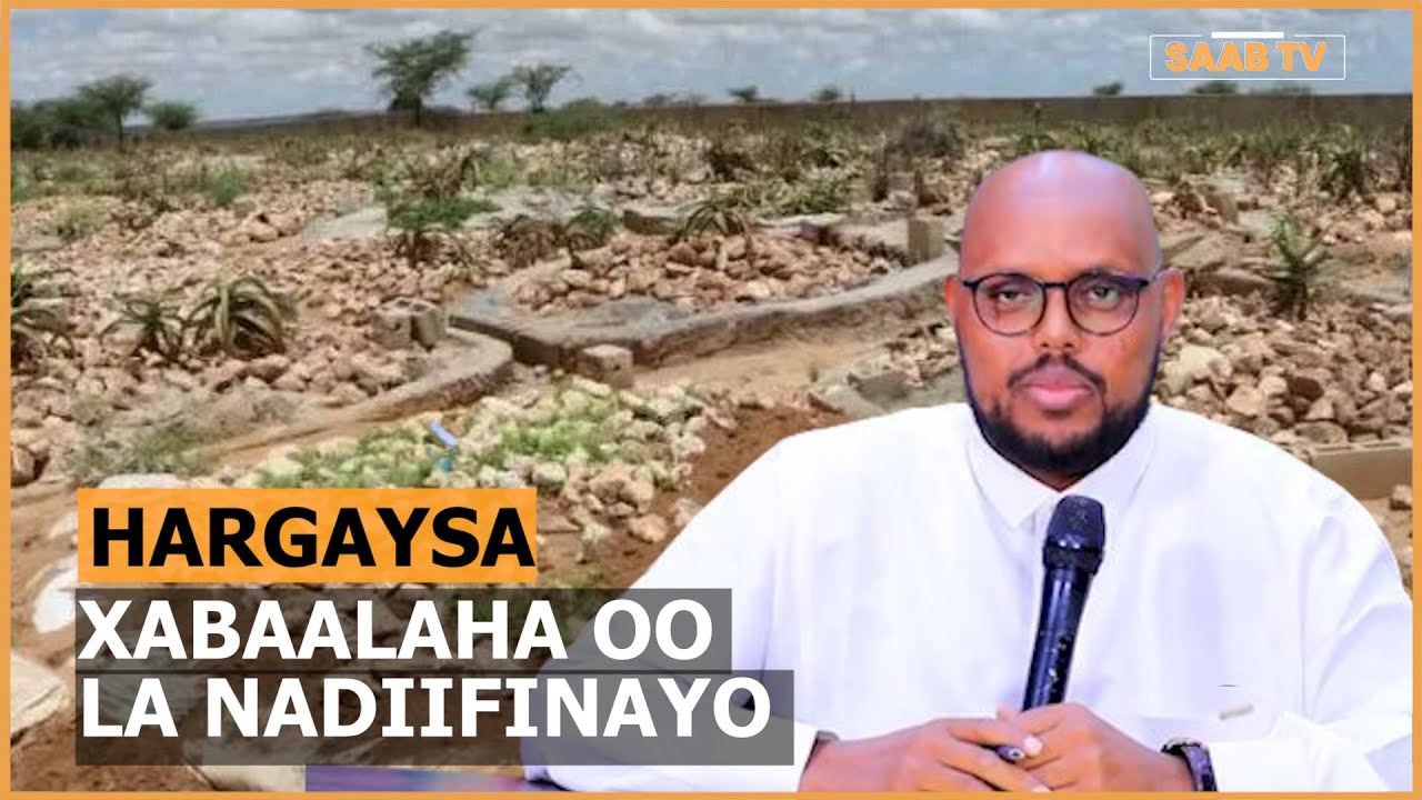 Xabaalaha ku yaala koonayaasha Hargaysa oo lagu qaadi doono olale - YouTube