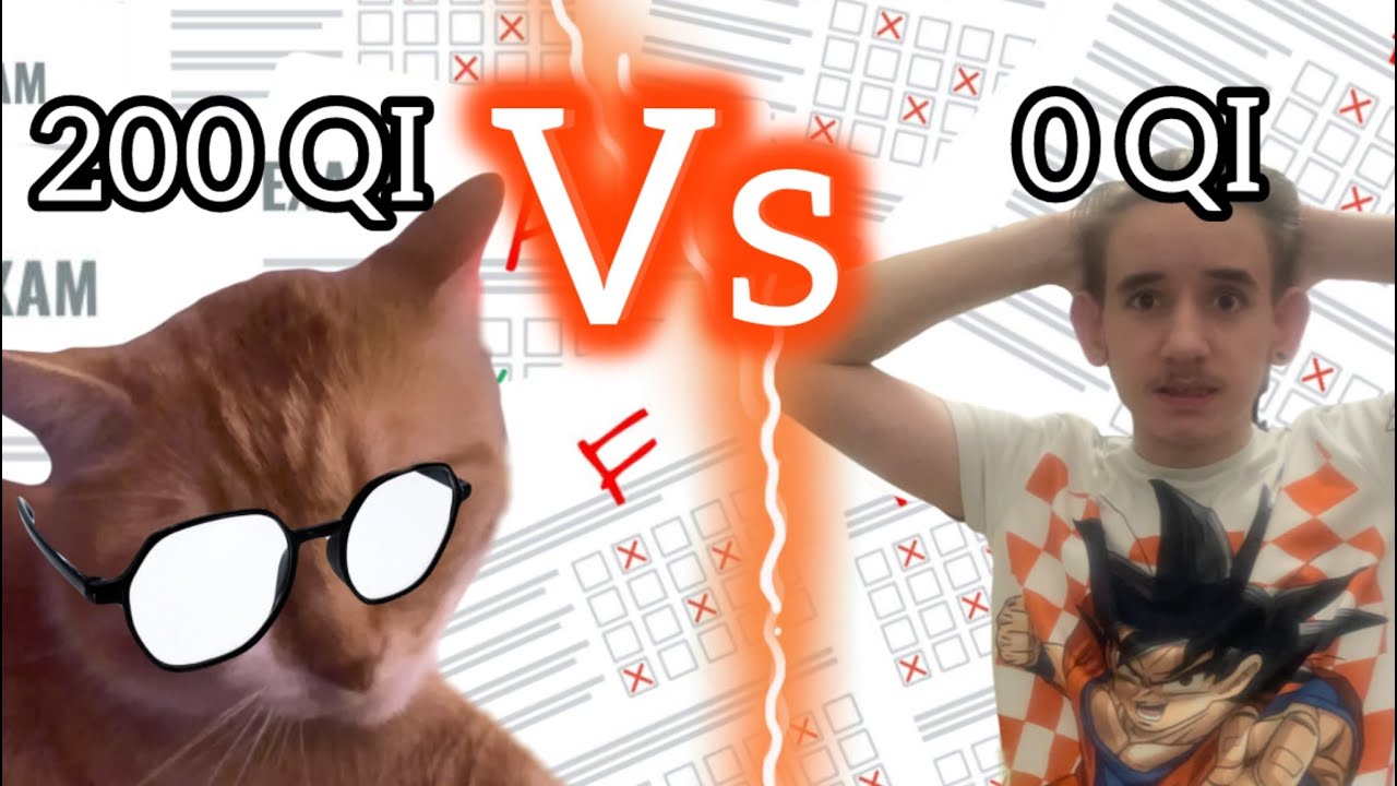 Mon chat est plus intelligent que Albert Einstein ?! - YouTube