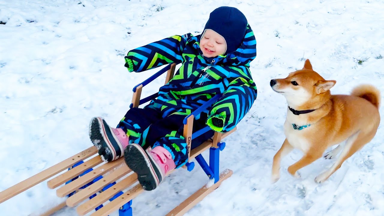 FIRST SLED FOR TODDLER ️ [LIVING IN POLAND] 2023 - YouTube