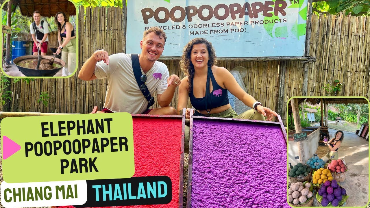 PAPER FROM POOP: Sustainable Paper Eco Paper at Elephant PooPoo Paper ...