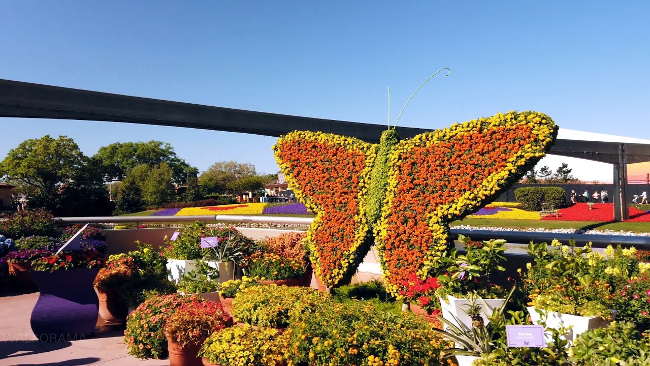 EPCOT Flower & Garden Festival Walking Tour in 4K, Orlando Florida ...