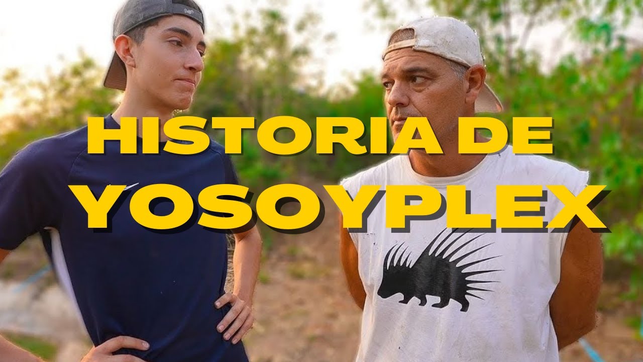 ¿PORQUÉ YOSOYPLEX es el MEJOR YOUTUBER de VLOGS? - YouTube