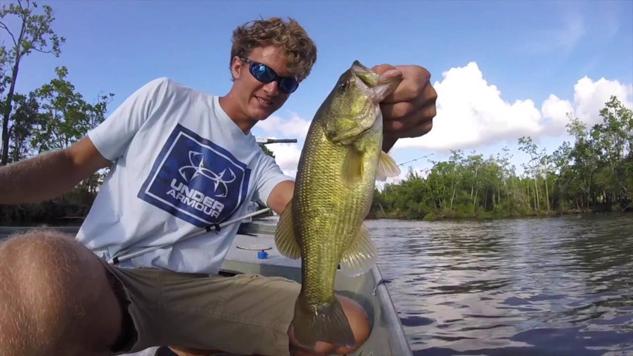 Summer bass fishing ( sabine river ) - YouTube