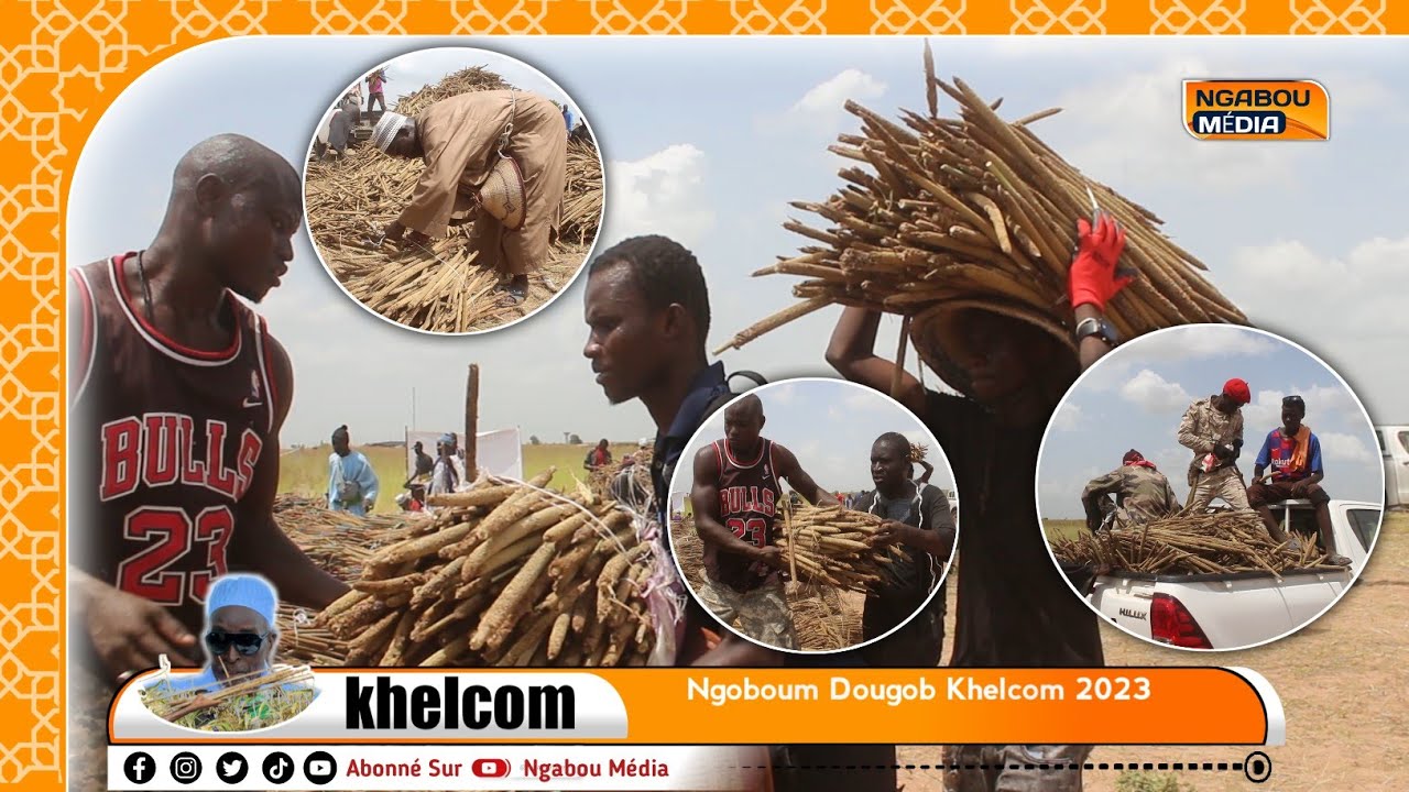 🚨Bismilah Ci Ligueybi Ngoboum Khelcom 2023 Touba Khelcom Daaray 9 - YouTube