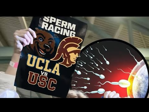 ‘Sperm Racing’ is Now an Official Sport