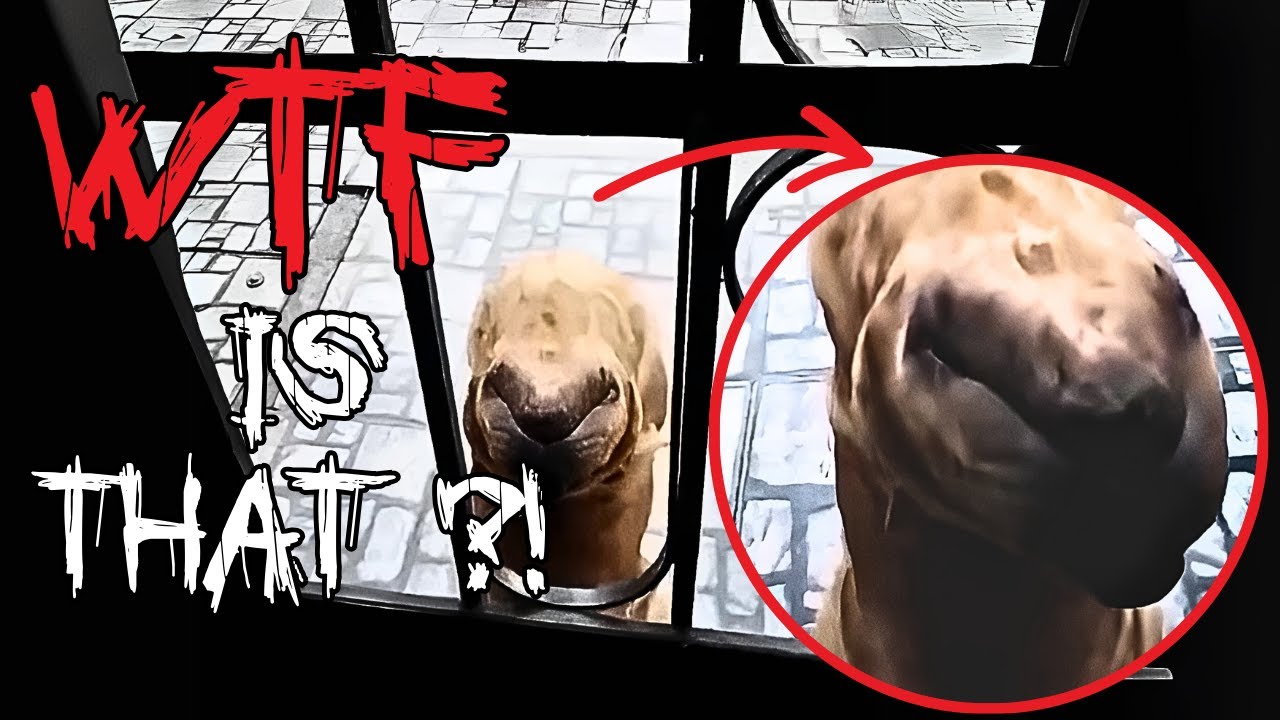 Top 15 REAL OR FAKE scary video CAUGHT ON CAMERA - YouTube